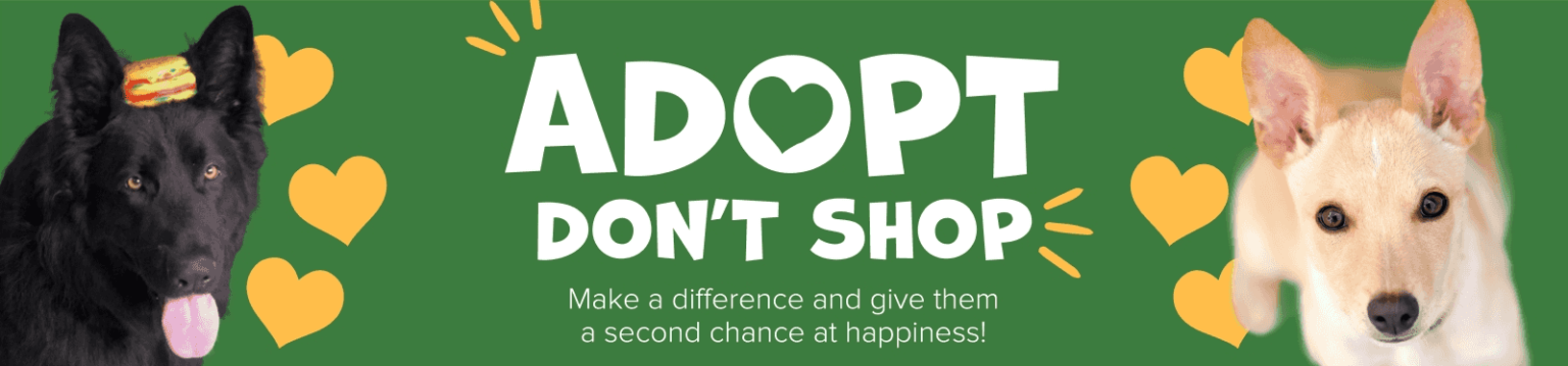 About Us - Exotic Pets Care Center